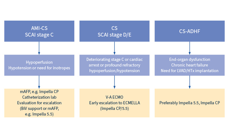 From Medical Therapy to Mechanical Support – Strategies for Device ...